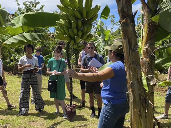 Tours | Cultural Banana Tour